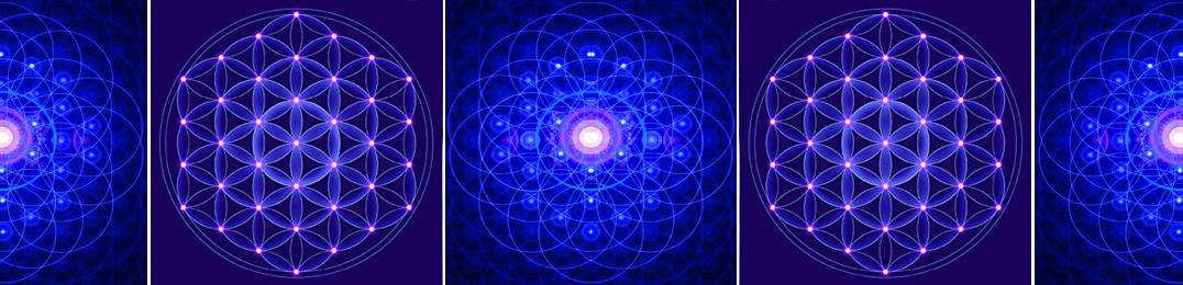 Live Lightmasters Human Body Power Matrix - LightQuest International